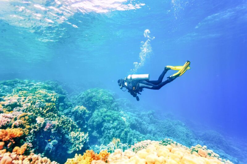 Bali: Padangbai Blue Lagoon Beginner's Dive Experience - Who Is This Tour Best For?