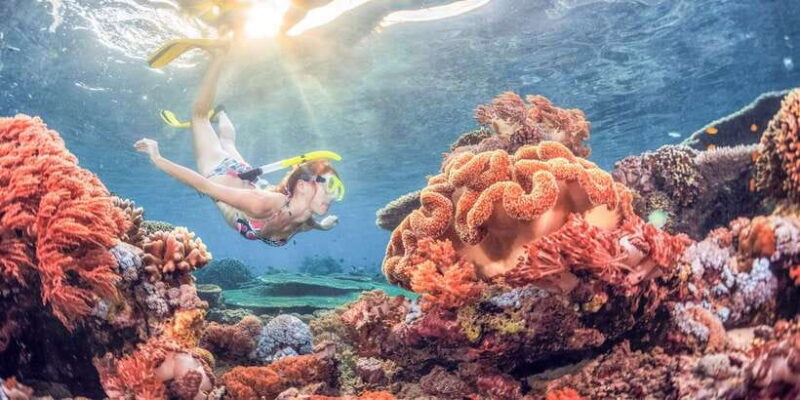 Bali: Padangbai Blue Lagoon Snorkeling Day Trip - Key Points