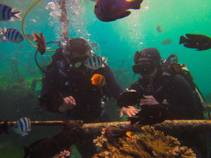 Bali Parasailing Adventure, Banana Boat And Jet Ski - Analyzing the Value