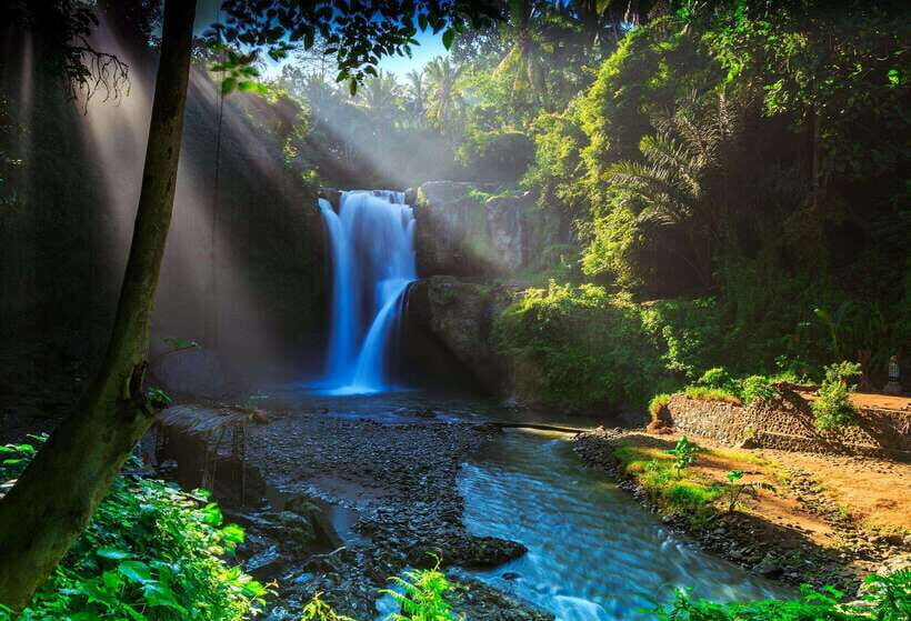Bali: Penglipuran Village, Rice Terrace & Waterfall Tour - An Overview of the Tour Experience