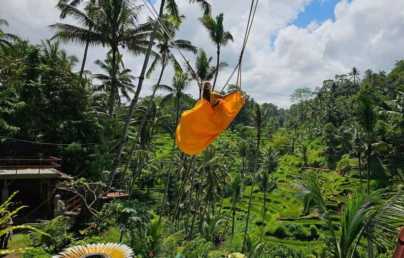 Bali: Penglipuran Village, Rice Terrace & Waterfall Tour - Who Will Enjoy This Tour?