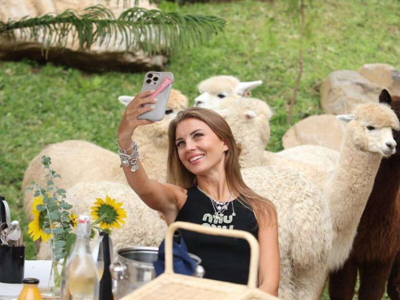 Bali: Picnic with Alpacas/Donkeys and Temple Tour - What to Expect: A Breakdown of the Day