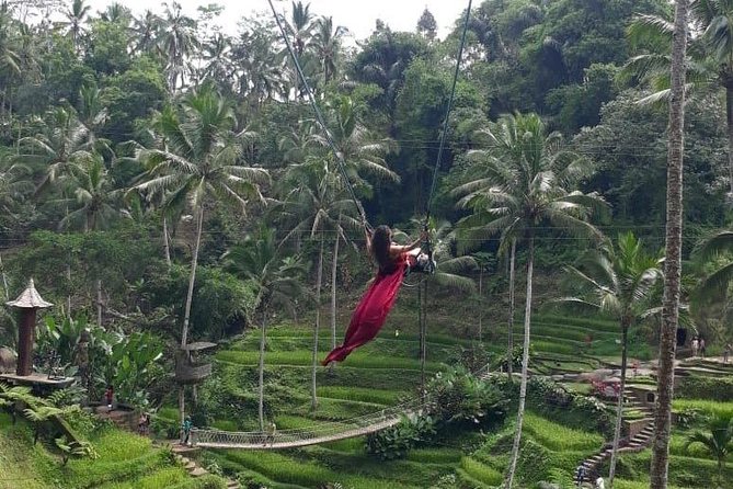 Bali Private 3 Days Tour Package Highlight - Who Should Book This Tour?