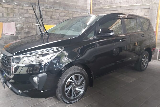 Bali Private Car Charter - Who Should Book This Tour?