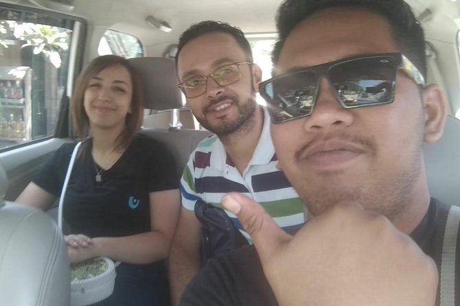 Bali Private Car Charter With Driver - Highlights and Drawbacks