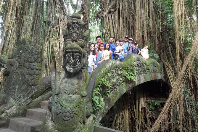 Bali Private Car Charter with English Speaking Driver Or Guide - Who Should Consider This Tour?