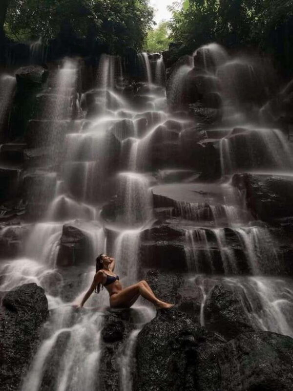 Bali: Private Car Charter with English's speaking driver - What Does the Itinerary Offer?