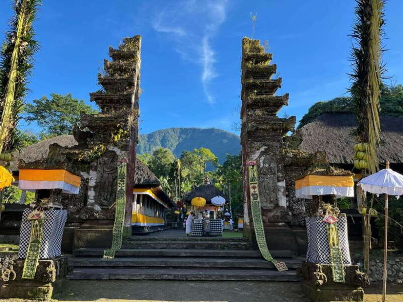 Bali: Private Car Charter with English's speaking driver - What’s Included and What’s Not?