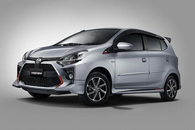 Bali Private Car Hire with Driver - Final Thoughts