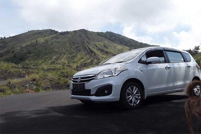 Bali Private Car or Minibus Charter With Driver - An Honest Look at the Bali Private Car or Minibus Charter With Driver