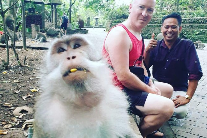 Bali Private Custom Tour - Bali Car Hire with Driver - The Sum Up