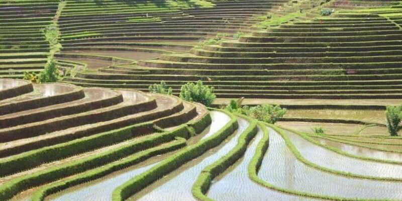 Bali: Private custom tour with a local guide - The Practical Side: Price, Duration, and Value