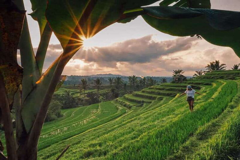 Bali: Private Custom Tours with Chauffeur - The Sum Up
