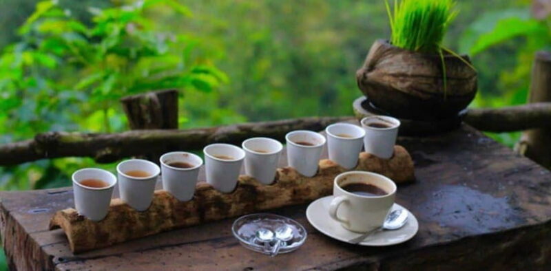 Bali: Private Customizable Day Tour with Guide - FAQ