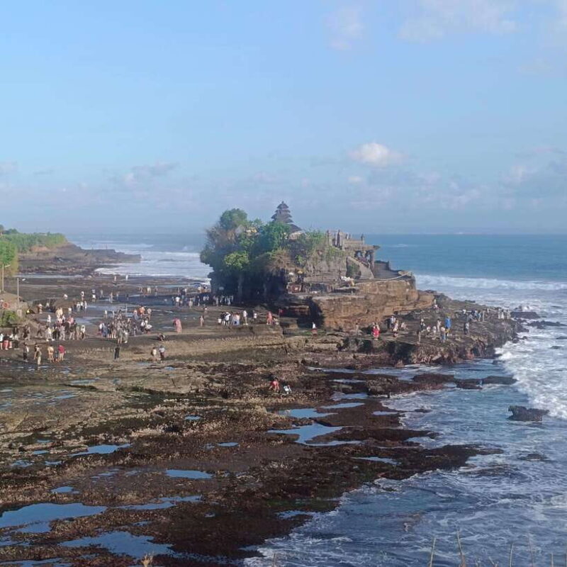 Bali: Private Customizable Full-Day Tour - What Travelers Are Saying