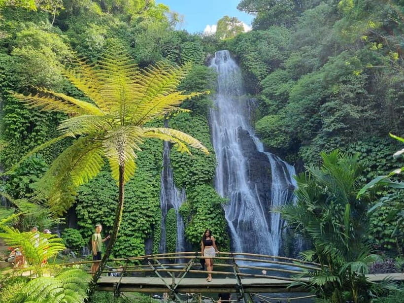 Bali: Private Customizable Tour with Driver - Why Choose a Private Customizable Tour in Bali?
