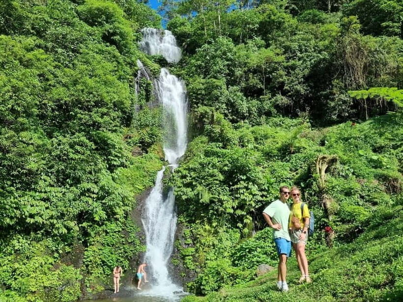 Bali: Private Customizable Tour with Driver - The Vehicles: Comfort and Convenience