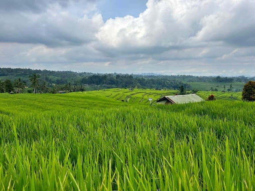 Bali: Private Customizable Tour with Driver - What’s Included and What’s Not?