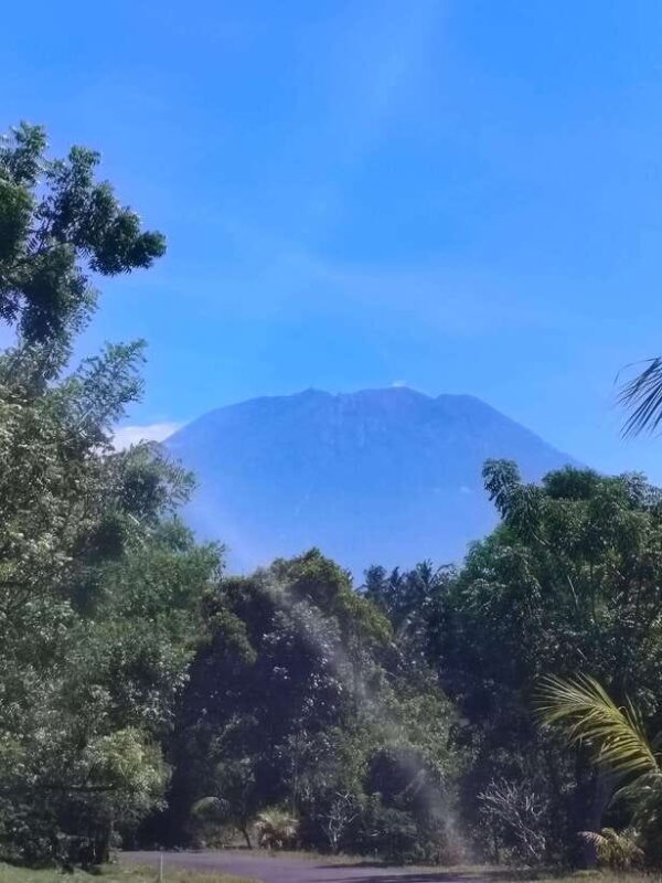 Bali: Private Customized Full-Day Tour with Driver - Cost and Value: Is It Worth It?