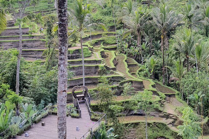 Bali Private Driver and Car for Customize Tours - A Deep Dive into the Experience