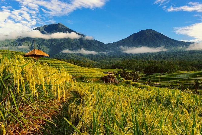 Bali Private Driver - Bali customized private tour - Key Points