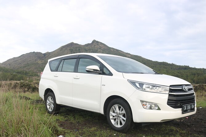 Bali Private Full Day Tour to Visit the Best Waterfalls and Swing near Ubud - What You Should Know About the Experience