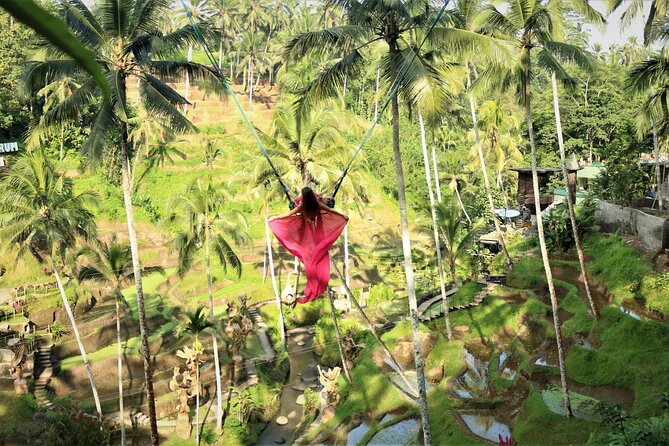 Bali Private Full Day Tour to Visit the Best Waterfalls and Swing near Ubud - The Value of This Tour