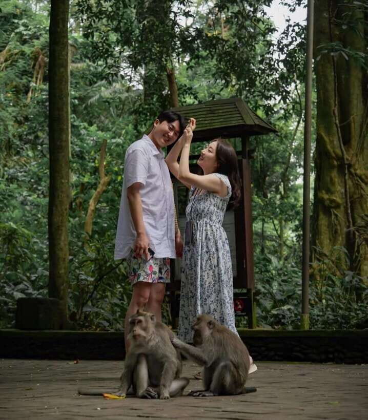Bali: Private Full Day Trip - Why Choose the Bali Private Full-Day Tour?