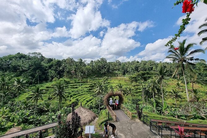 Bali Private inclusive tour: Best of Ubud in a Day - The Experience and Its Value
