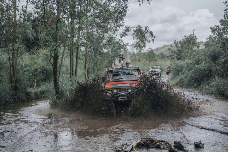 Bali: Private Jeep And Black Lava - What Makes This Tour Special?
