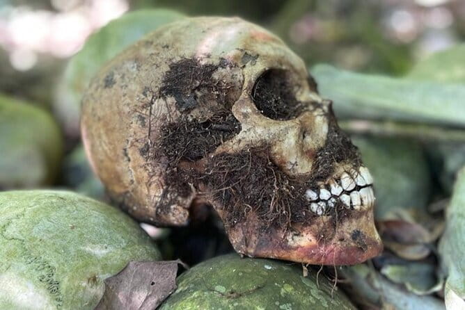 Bali Private Mystic Death Tour In Trunyan - An In-Depth Look at the Bali Private Mystic Death Tour