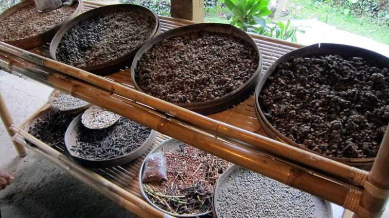 Bali private : Palm Reading Water Temple, rice terrace - Tasting Bali’s coffee and exploring the rice terraces