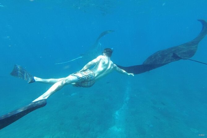 Bali Private Snorkeling (Manta, Gamat, Wall) and Nusa Penida Tour - Comfort, Convenience, and Value