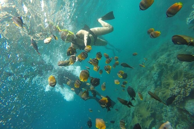 Bali Private Snorkeling (Manta, Gamat, Wall) and Nusa Penida Tour - The Land & Sea Experience: What Sets It Apart