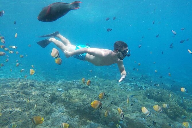 Bali Private Snorkeling (Manta, Gamat, Wall) and Nusa Penida Tour - The Experience’s Pros and Cons