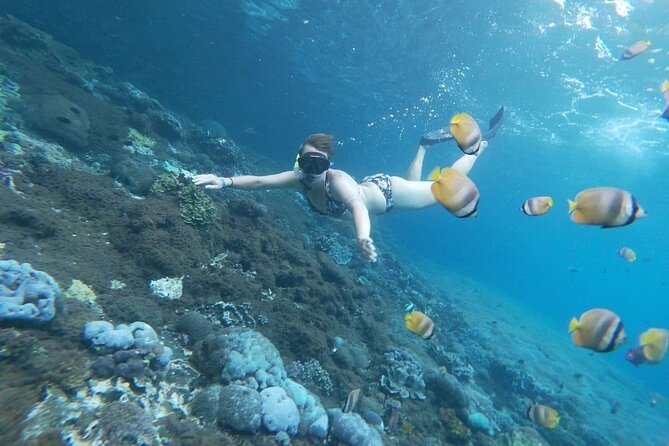 Bali Private Snorkeling (Manta, Gamat, Wall) and Nusa Penida Tour - Who Should Consider This Tour?