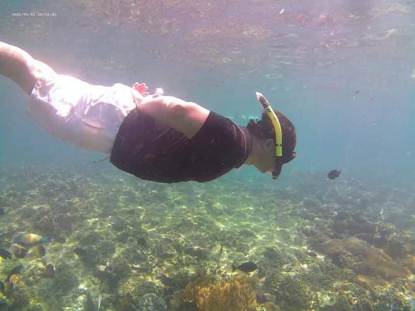 Bali: Private Snorkeling Trip to Blue Lagoon & Tanjung Jepun - Analyzing the Value