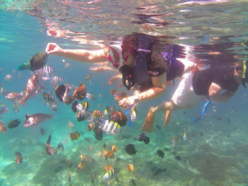Bali: Private Snorkeling Trip to Blue Lagoon & Tanjung Jepun - The Sum Up