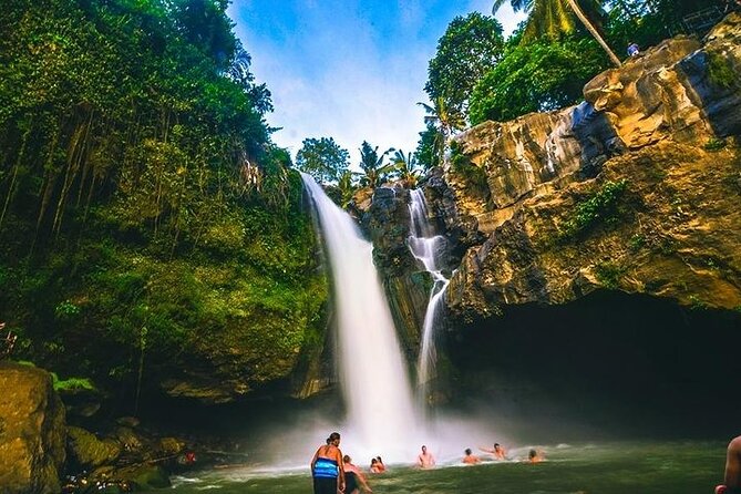 Bali Private Tour : Best Of Ubud & Volcano View With Jungle Swing - Final Thoughts