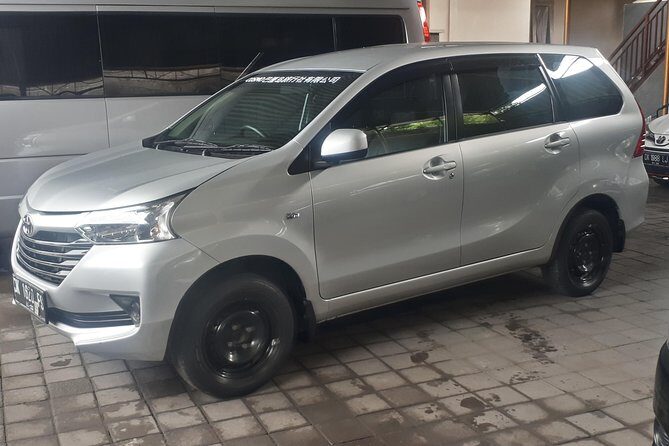 Bali Private Tour - Car with Driver - Authentic Experiences and Real Feedback