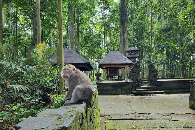 Bali Private Tour Nung-Nung Waterfall and Tanah Lot Temple - A Closer Look at the Itinerary