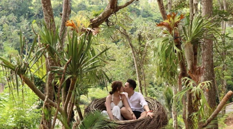 Bali: Private Tour of Lake Beratan, Handara Gate, and More - The Sum Up