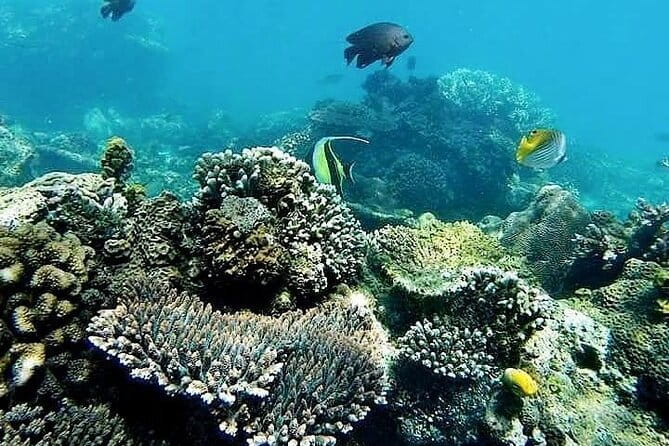 Bali Private Tour: Waterfall, Monkey forest and Tanah lot sunset - Practical Tips for Making the Most of This Tour