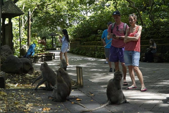 Bali Private Tour Waterfall with Tanah Lot Temple - What the Tour Includes and What to Keep in Mind