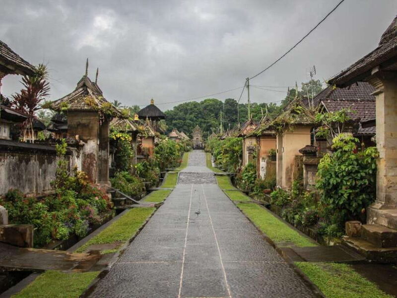 Bali: Professional photoshoot at Pengelipuran bamboo forest. - Detailed Breakdown of the Experience