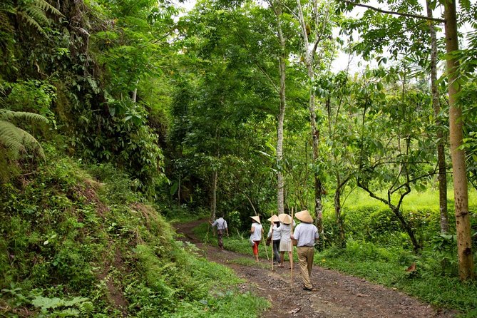 Bali Pure trek with spiritual journey, purification ceremony, local priest -Ubud - Exploring Bali’s Spiritual Heart: The Bali Pure Trek with Cultural and Sacred Experiences