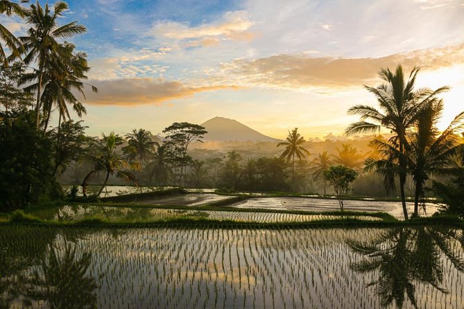 Bali Pure trek with spiritual journey, purification ceremony, local priest -Ubud - Analyzing the Value