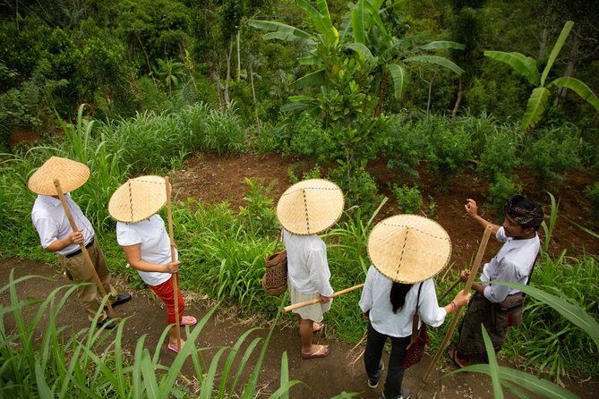 Bali Pure trek with spiritual journey, purification ceremony, local priest -Ubud - Final Thoughts