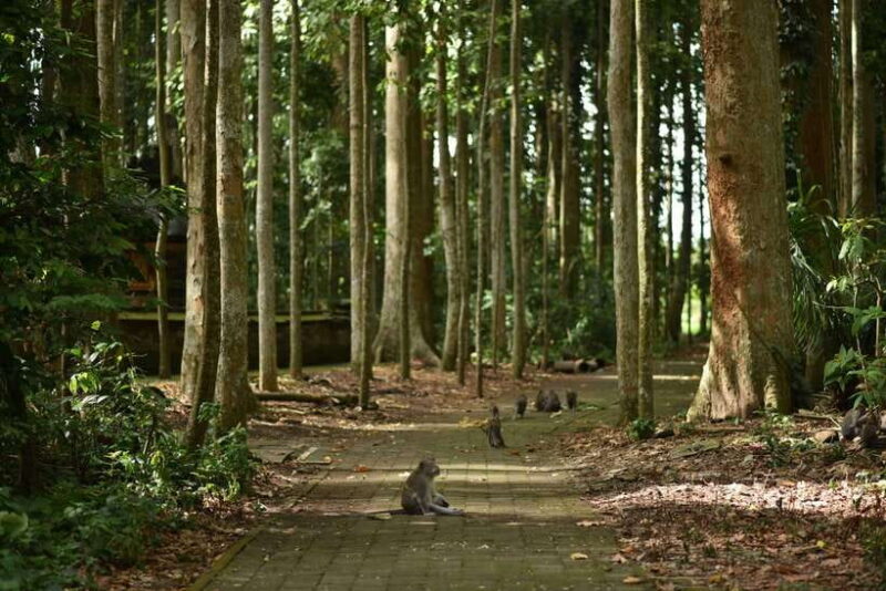 Bali: Purification Ritual at Taman Beji Griya - FAQs