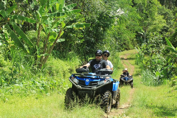 Bali Quad and Buggy Discovery Tour, Including Round-Trip Transfer - Analyzing the Value
